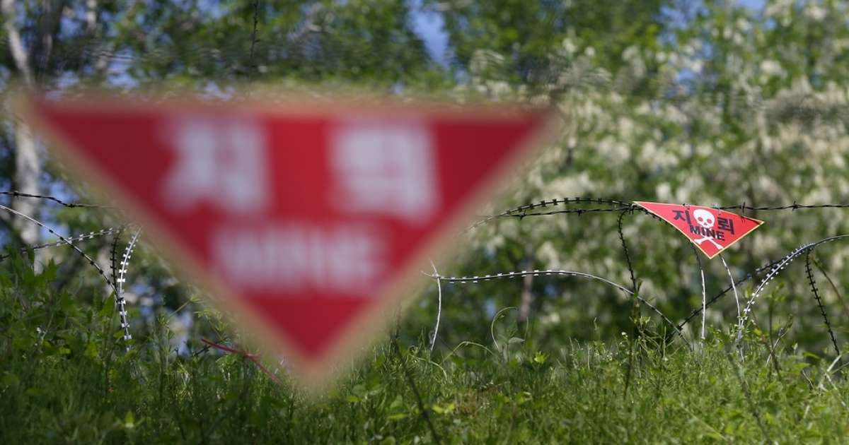 Seeing through the Static: A Conversation in Images with Eleana J. Kim ...