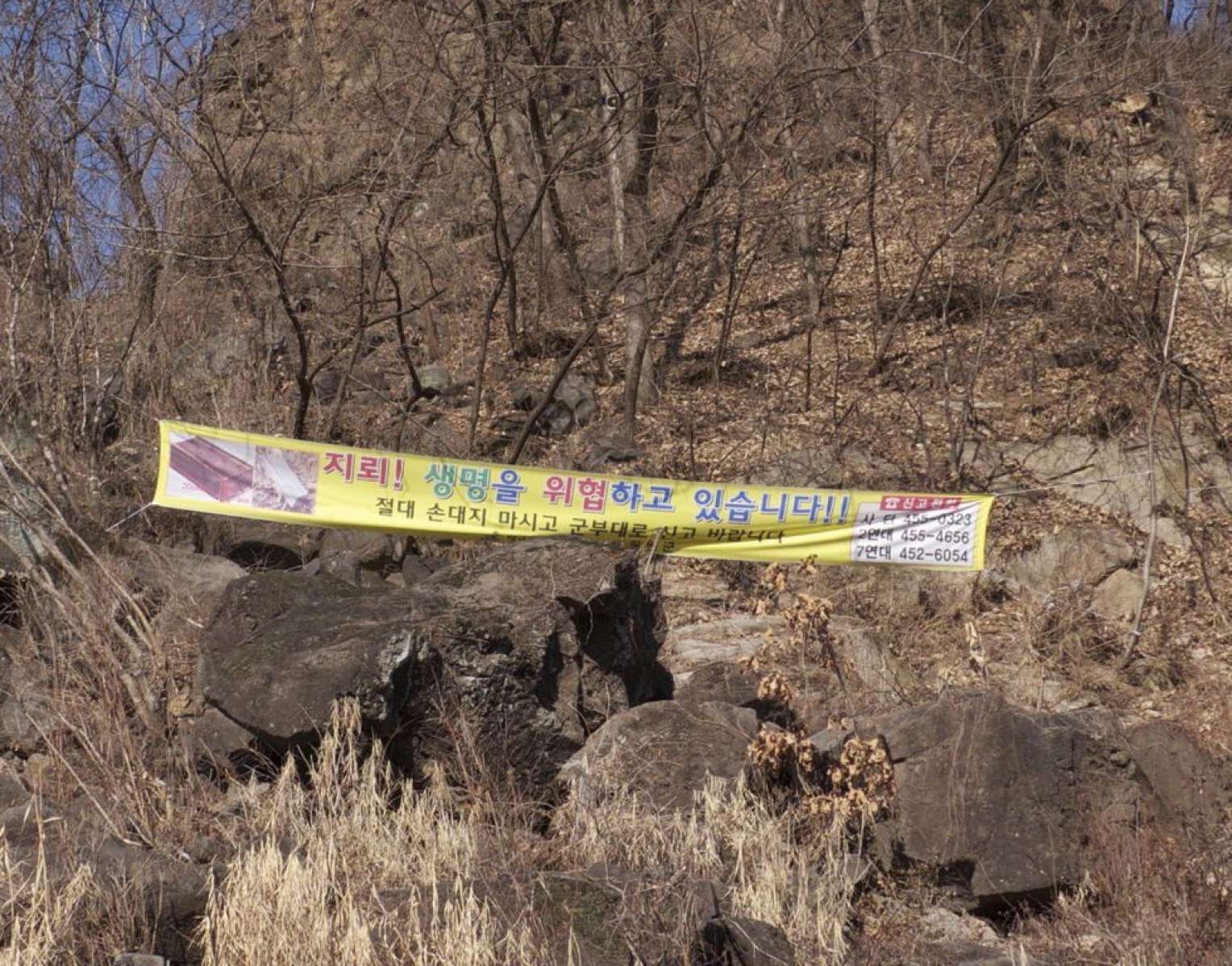 Seeing through the Static: A Conversation in Images with Eleana J. Kim ...