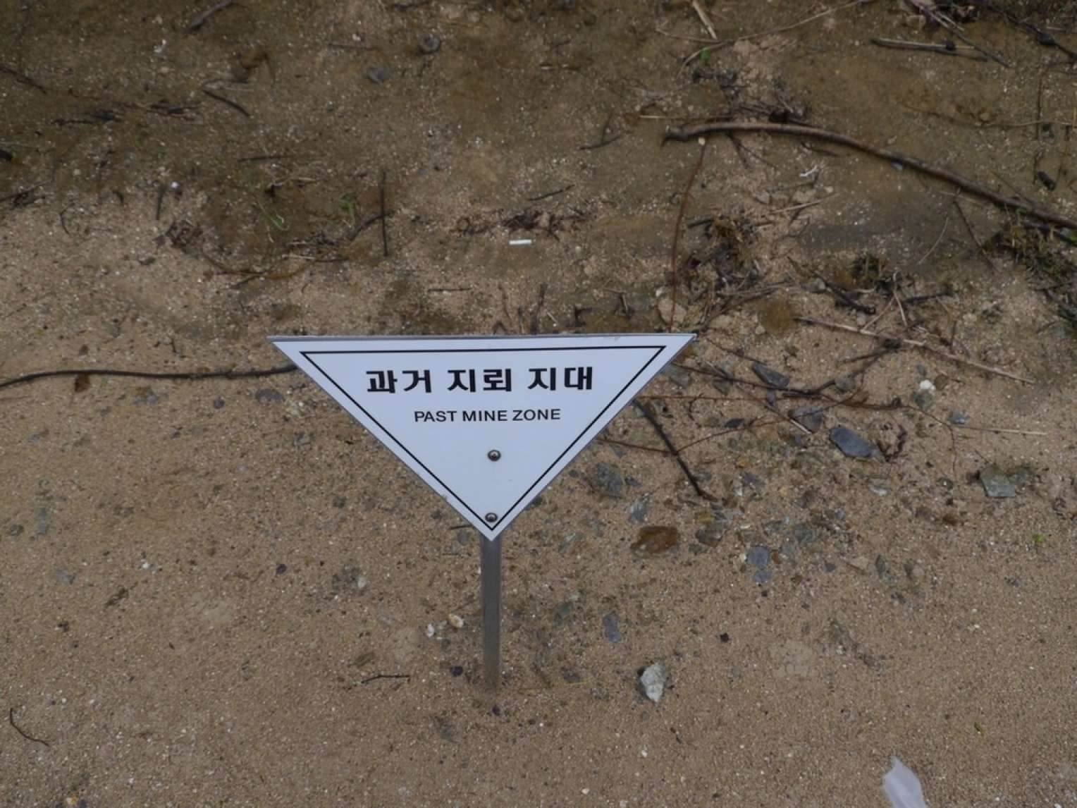 Seeing through the Static: A Conversation in Images with Eleana J. Kim ...