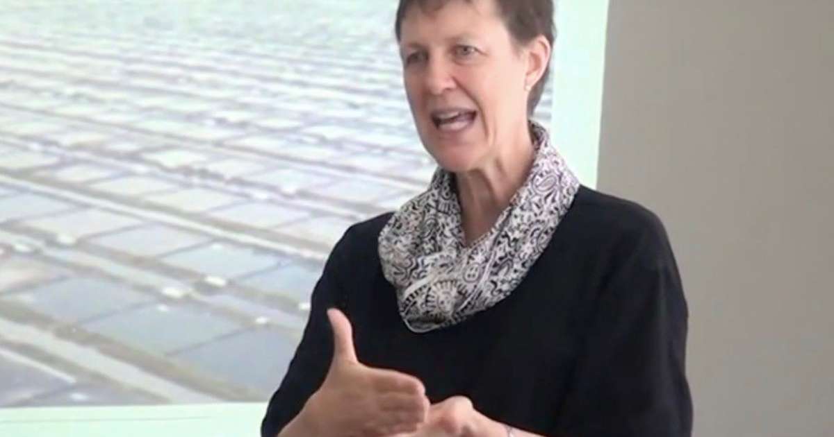 It Can’t Be Revolution: An Interview with Tania Li | Society for Cultural Anthropology