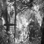 Lucas Bessire | Society for Cultural Anthropology