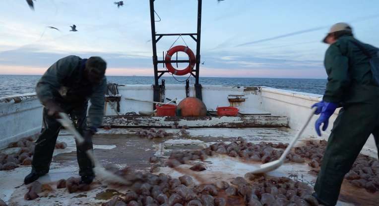 A Correspondence of the Senses: Panesthesia as Research Method ...