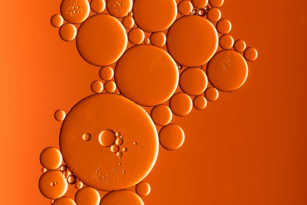 Fat: Integration | Society for Cultural Anthropology