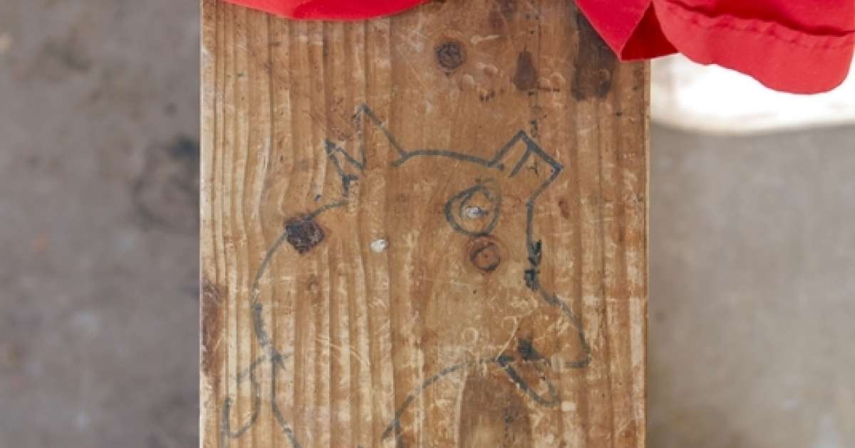 Porcine Worlds: An Interview with Alex Blanchette | Society for ...