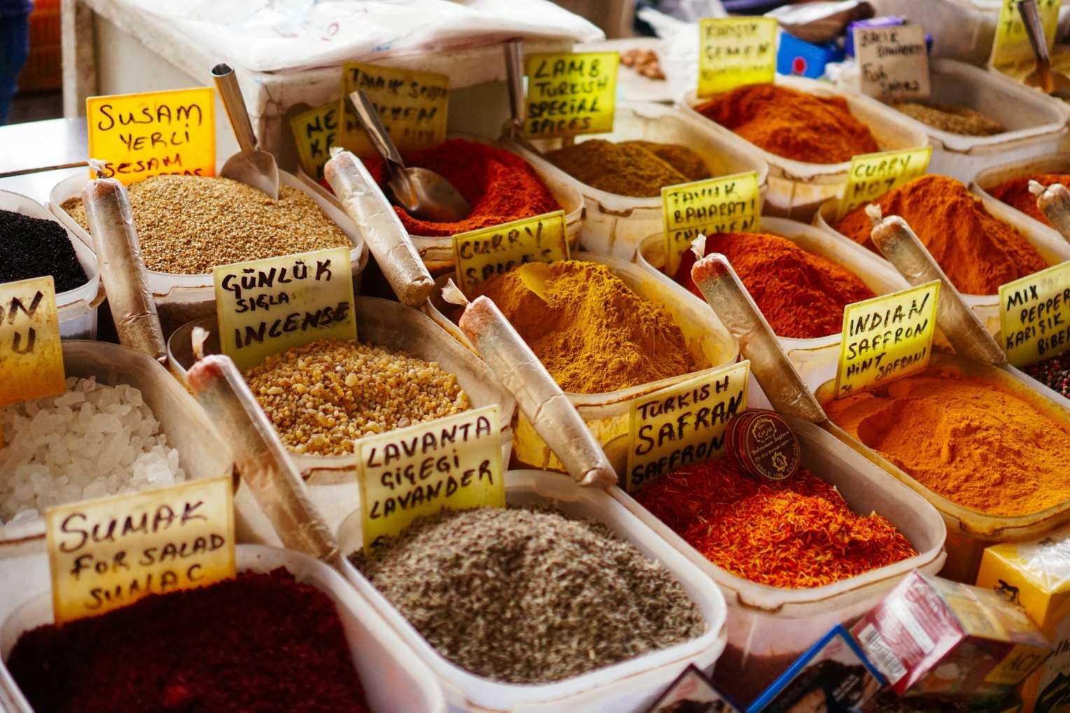 Teaching Sensory Anthropology | Society for Cultural Anthropology Teaching Sensory Anthropology | Society for Cultural Anthropology
