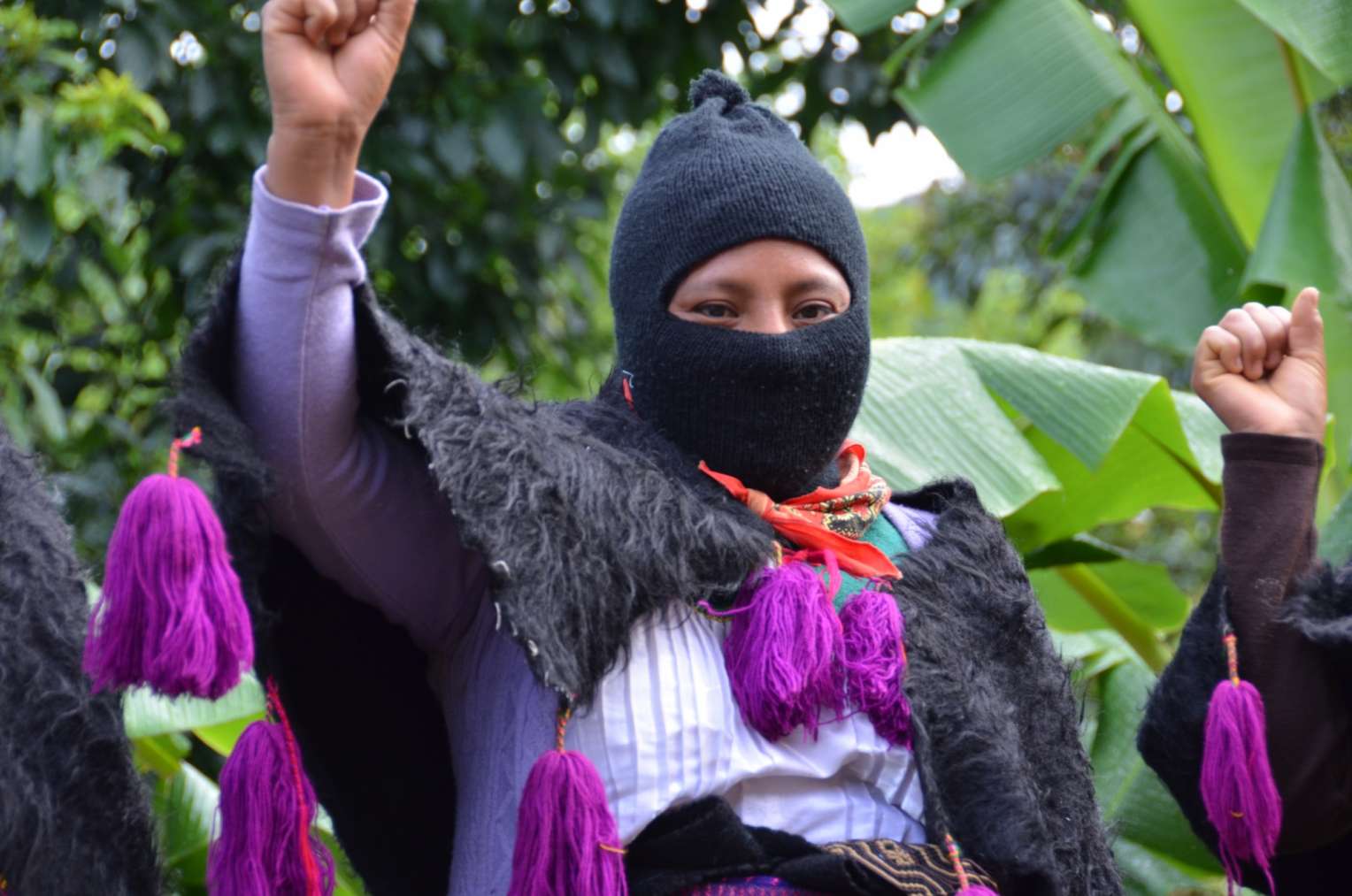 Teaching Indigenous Movements in Latin America | Society for Cultural ...