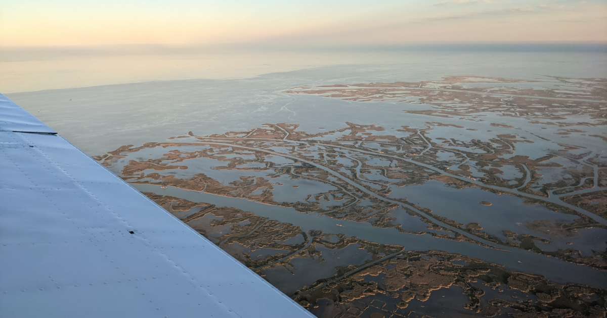 Nostalgic Ecomodernism: The Futuristic Aesthetics of Enduring Racial ...