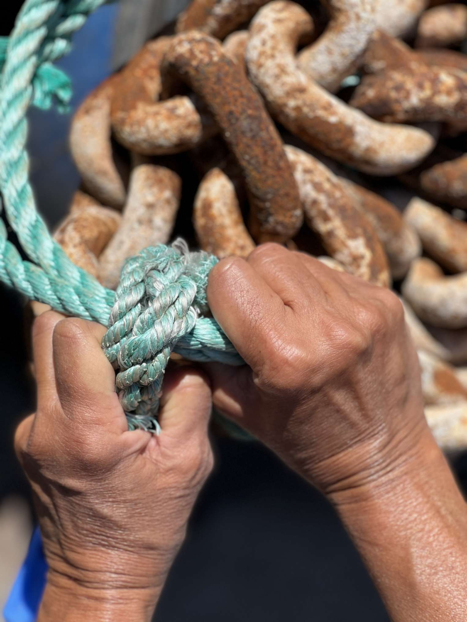 Hands on the Water | Society for Cultural Anthropology