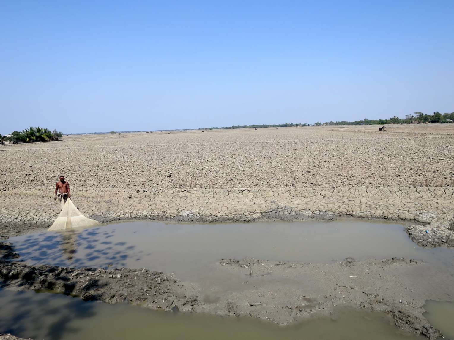 Climate Reductive Translations of Salinity: Understanding Cyclone-Tiger ...