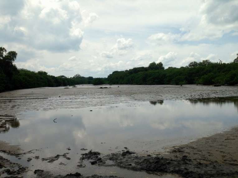 Dams and Dialysis | Society for Cultural Anthropology