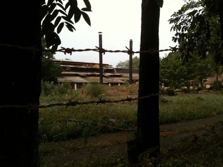 Sickness | Society for Cultural Anthropology