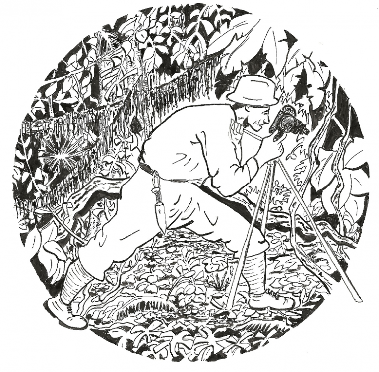 Drawing Anthropology: A Couple of Things I Am Learning | Society for ...