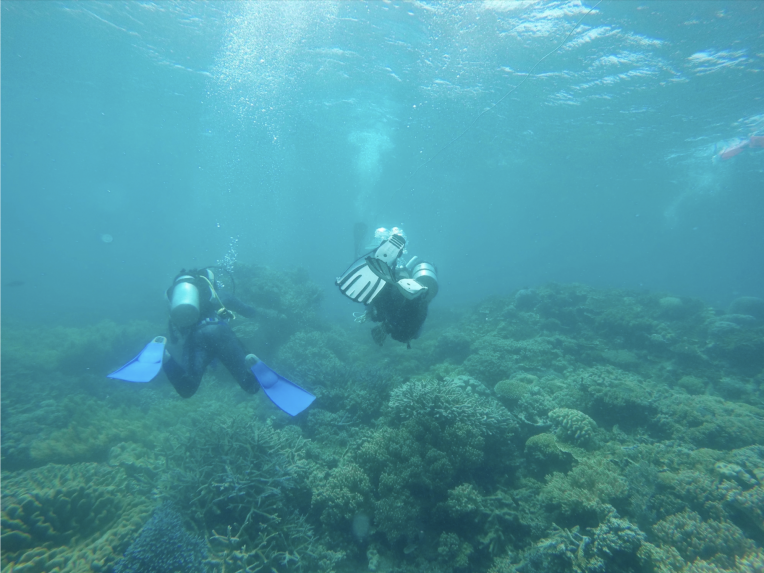 Nudging the Reef: Underwater Care and Assisted Recovery in Marine ...