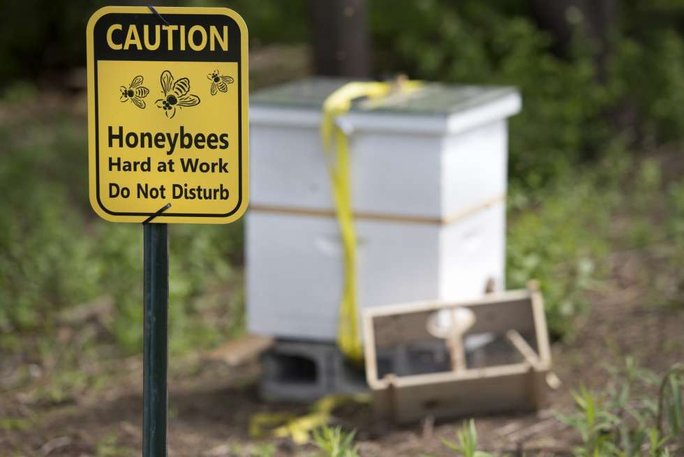 Introduction: The Naturalization of Work | Society for Cultural ...