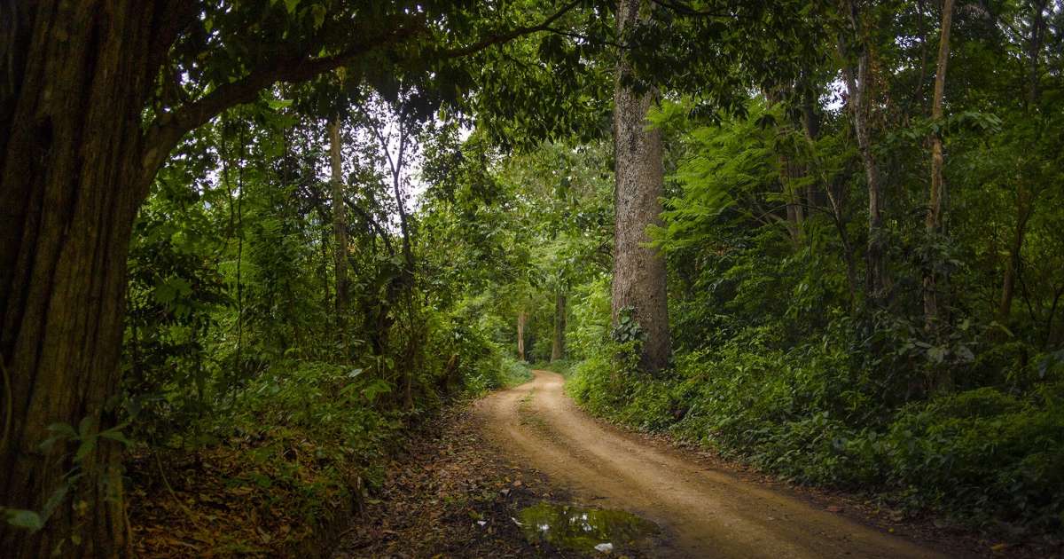 SIN CESAR: Extractos de qué es, de cómo se hizo o más bien por qué lo ...