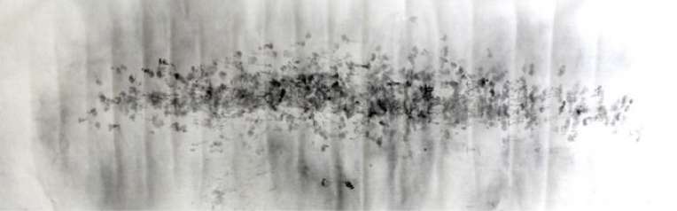 Re-sounding Movements | Society for Cultural Anthropology