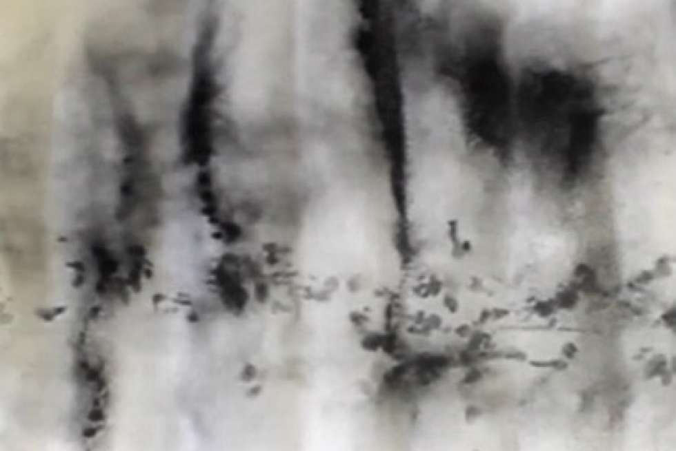 Re-sounding Movements | Society for Cultural Anthropology