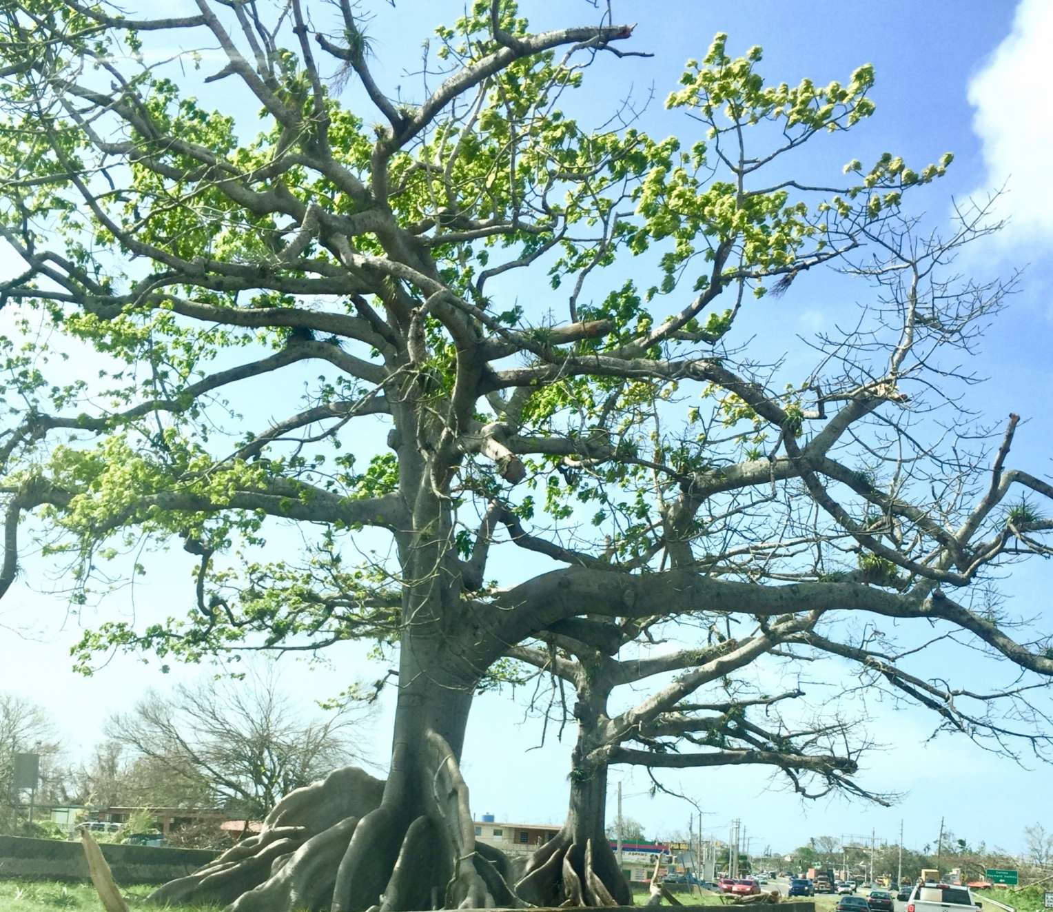 Decolonizing Ethnography: A Reimagined Framework for Teaching Radical Ethnography | Society for ...