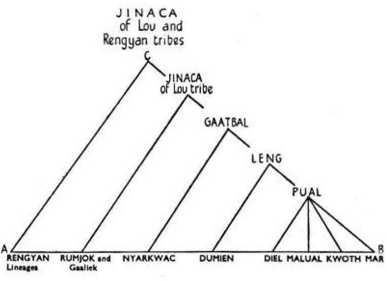 Domestic Exceptions: Evans-Pritchard and the Creation of Nuer ...